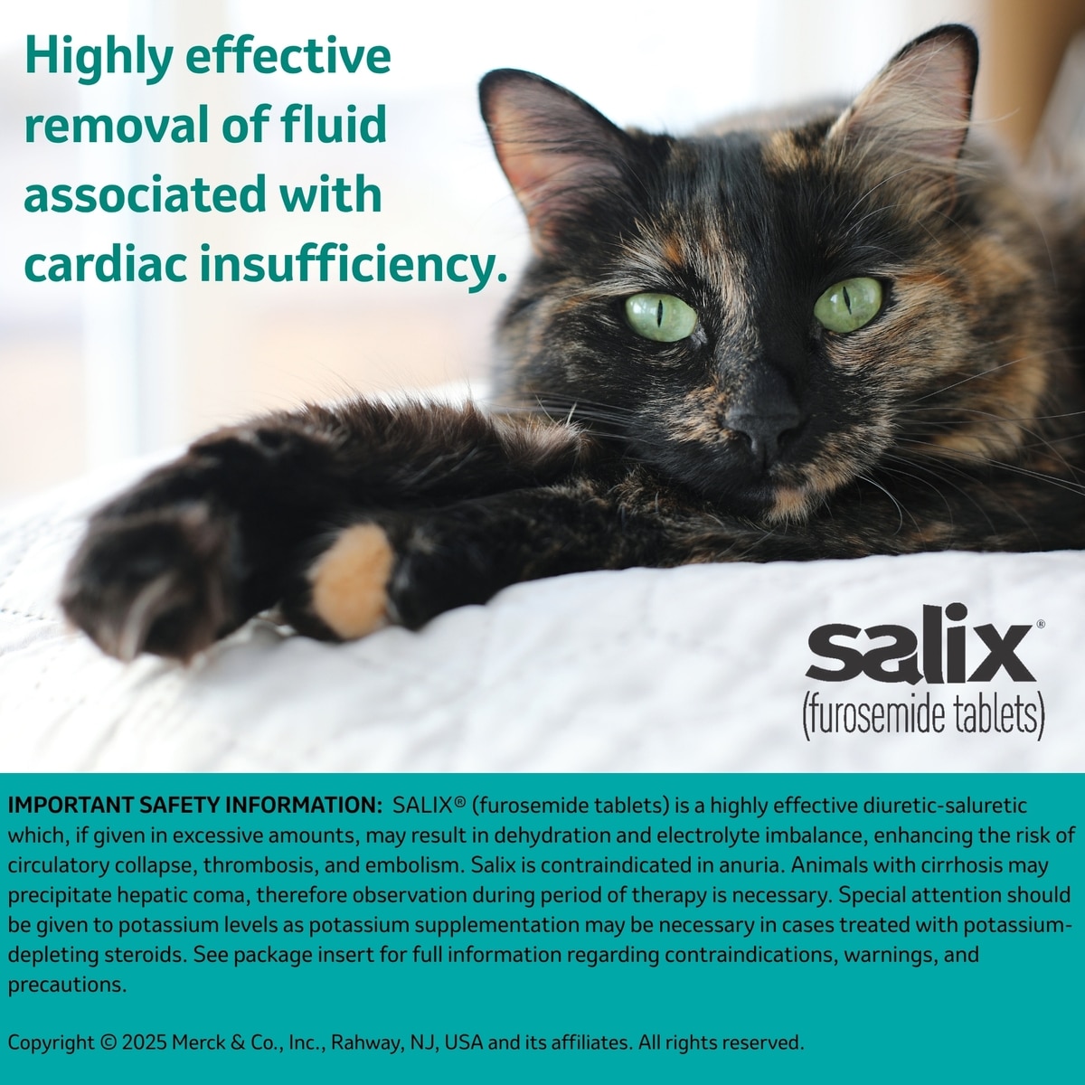 SALIX (Furosemide) Tablets for Dogs & Cats, 12.5-mg - Easy Refills ...