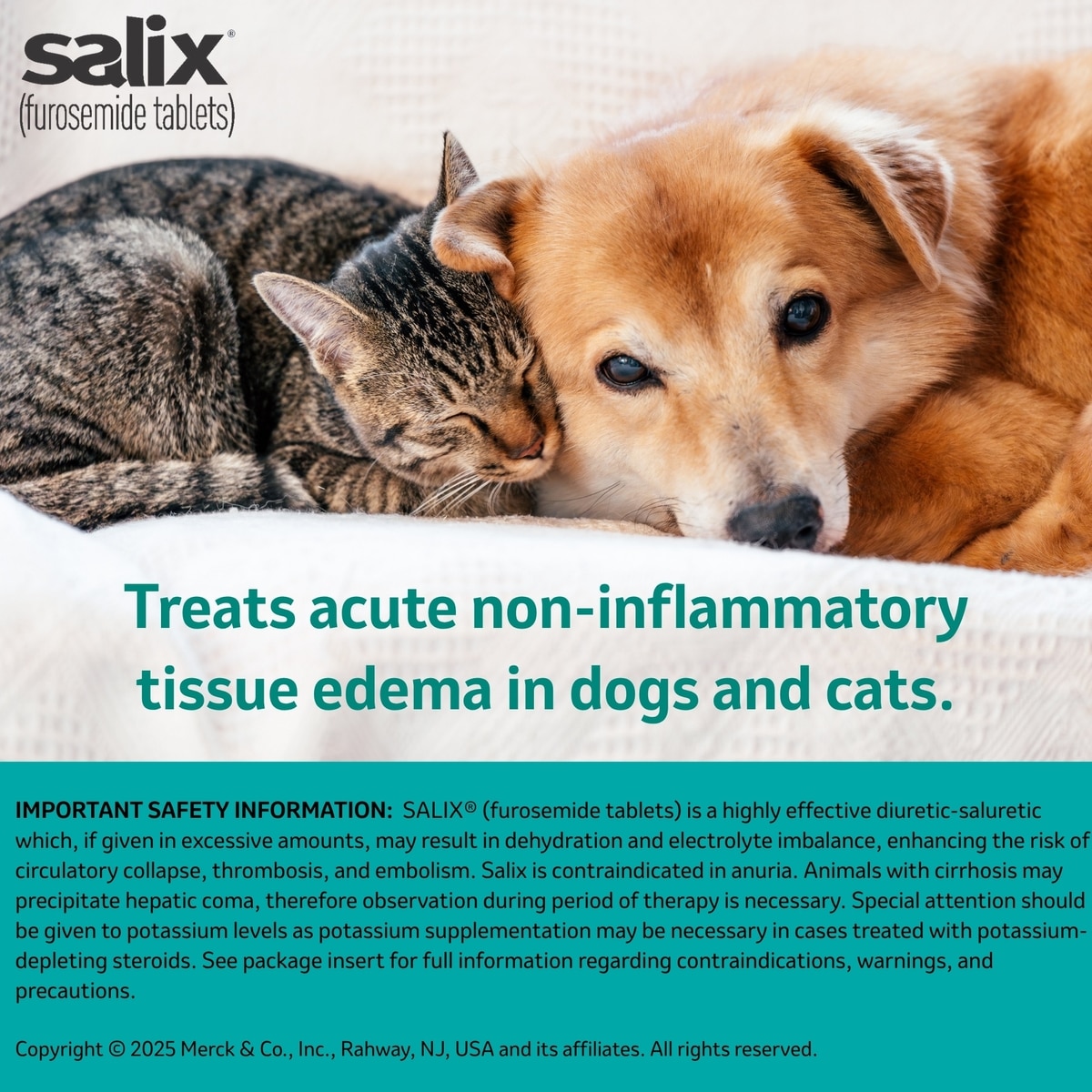 SALIX (Furosemide) Tablets for Dogs & Cats, 12.5-mg - Easy Refills ...