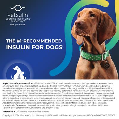 VETSULIN (porcine insulin zinc suspension) U-40 Injectable for Dogs ...