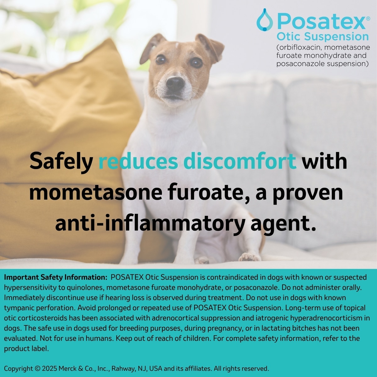 POSATEX Otic Suspension for Dogs, 7.5-g - Easy Refills | Chewy Rx