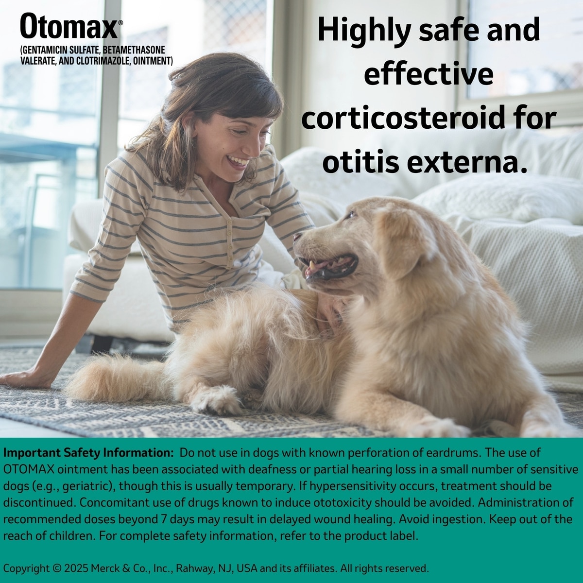 OTOMAX (Gentamicin / Betamethasone / Clotrimazole) Otic Ointment for ...