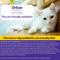ORBAX (orbifloxacin) Oral Suspension for Dogs & Cats, 30 mg/mL, 20-mL ...