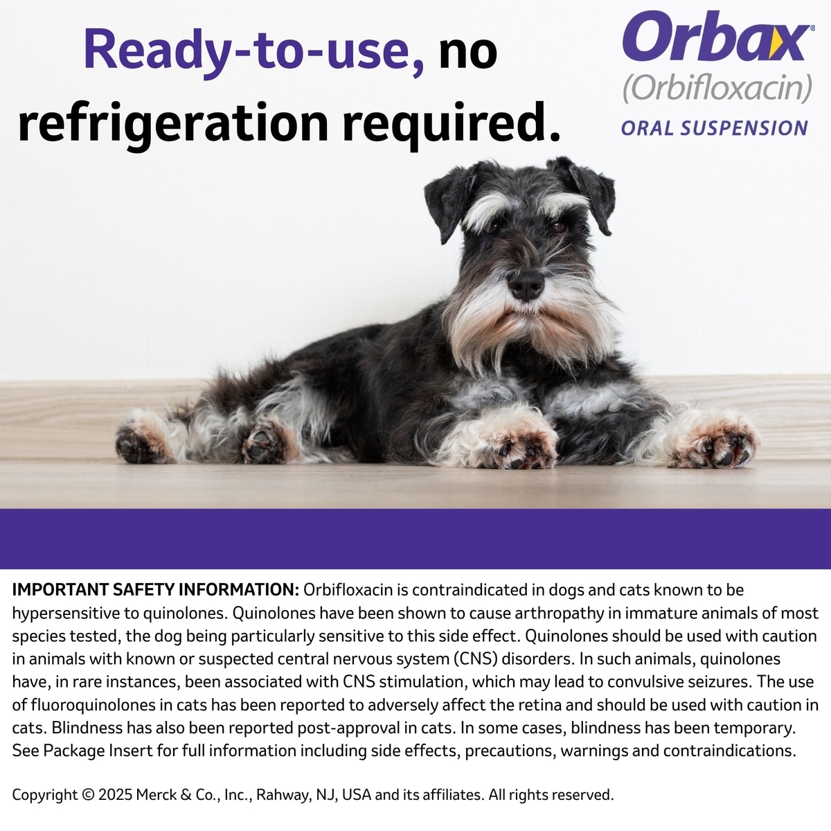 ORBAX (orbifloxacin) Oral Suspension for Dogs & Cats, 30 mg/mL, 20-mL ...