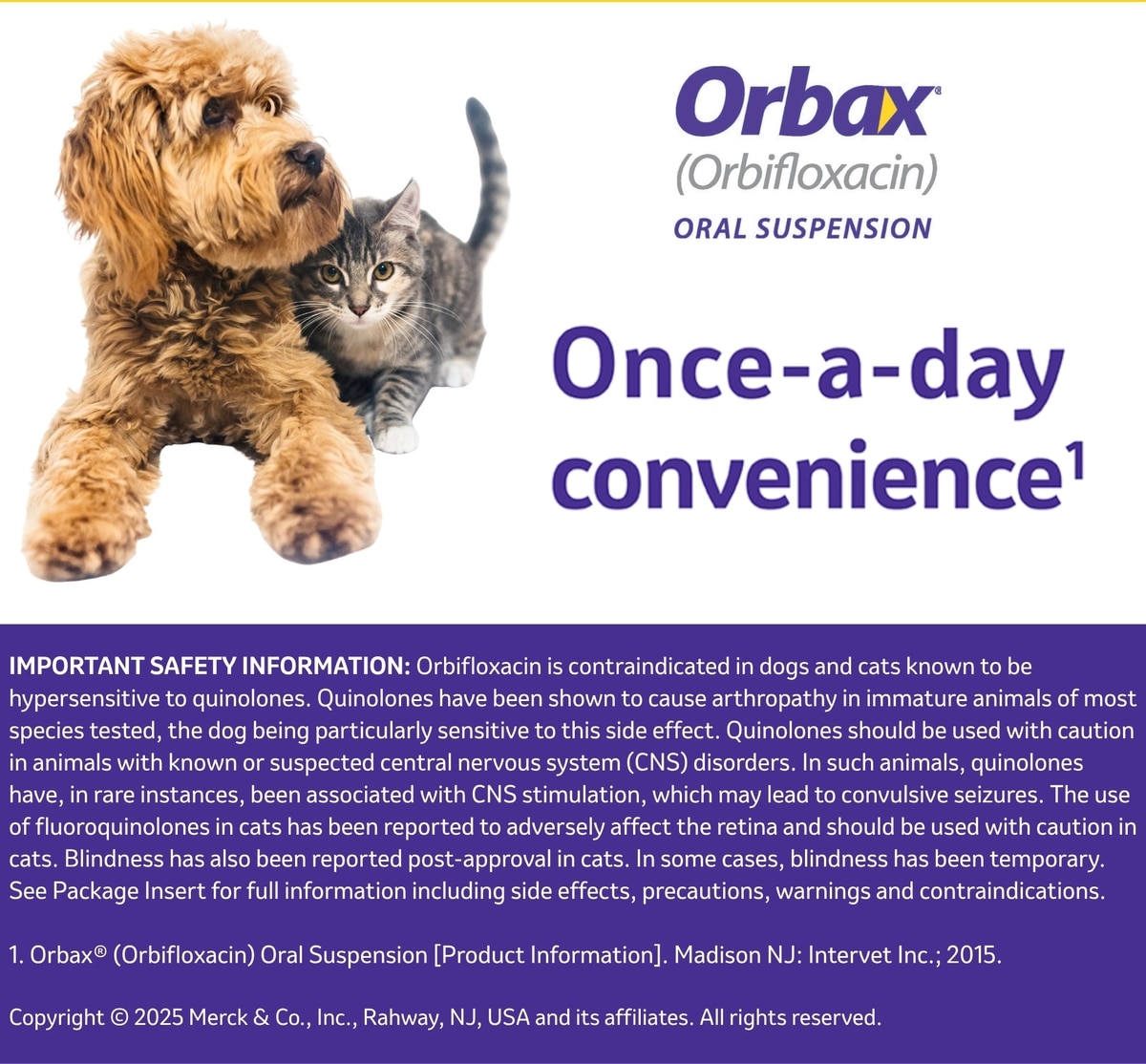 ORBAX (orbifloxacin) Oral Suspension for Dogs & Cats, 30 mg/mL, 20-mL ...