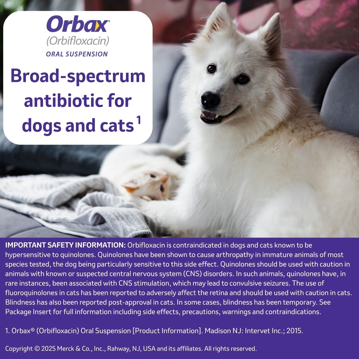ORBAX (orbifloxacin) Oral Suspension for Dogs & Cats, 30 mg/mL, 20-mL ...
