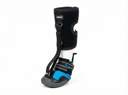 LABRA Canine No Knuckling Corrector Toe Dragging Drop Foot Dog Boot ...