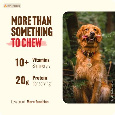 NATURAL FARM Beef Bully Sticks Dog Treats, 7-in, 20 count - Chewy.com