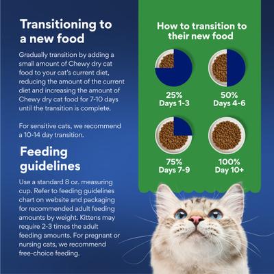 CHEWY MADE Duck Recipe Grain-Free Dry Cat Food (FORMERLY AMERICAN ...