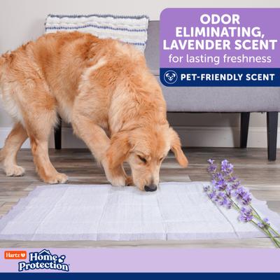 HARTZ Home Protection Super Absorbent Odor Eliminating Lavender Scented ...