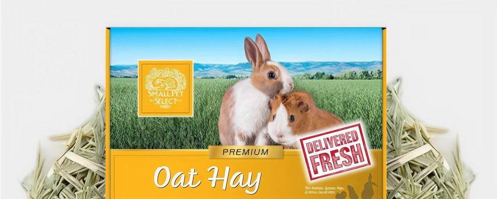 Small Animal Hay | Chewy