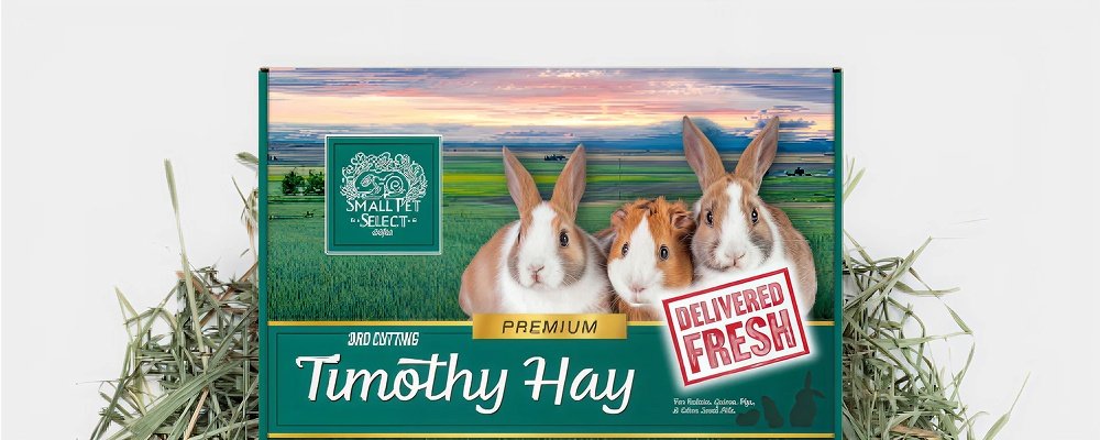 Guinea Pig Hay | Chewy
