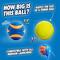 CHUCKIT! Ultra & Squeaker Medium Bouncy Fetch Floating Water Ball Dog ...
