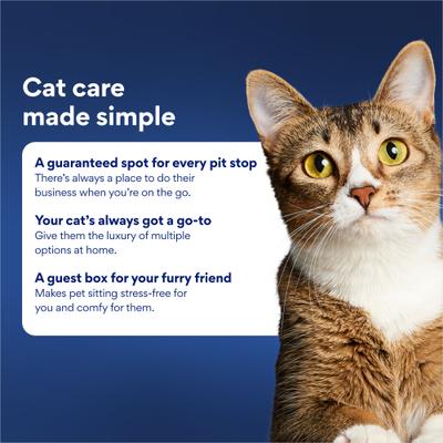 CHEWY MADE High-Sided Disposable Cat Litter Box, Jumbo (FORMERLY FRISCO ...