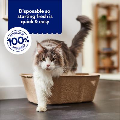 CHEWY MADE High-Sided Disposable Cat Litter Box, Jumbo (FORMERLY FRISCO ...