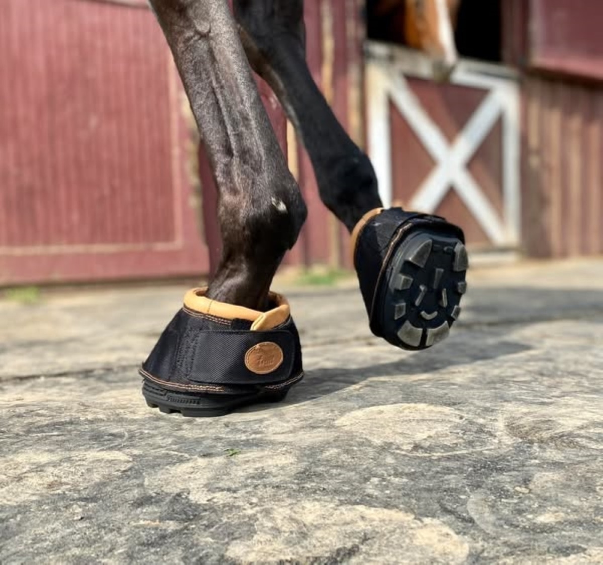 EASYCARE Easyboot Trail Horse Hoof Boot, 3 - Chewy.com