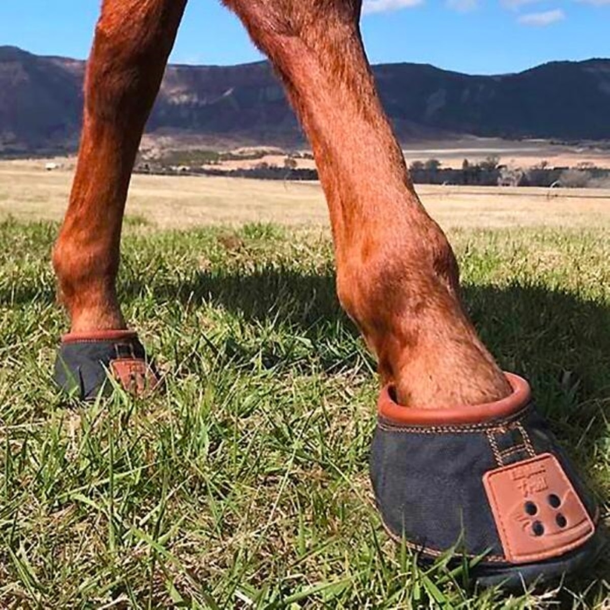 EASYCARE Easyboot Trail Horse Hoof Boot, 3 - Chewy.com