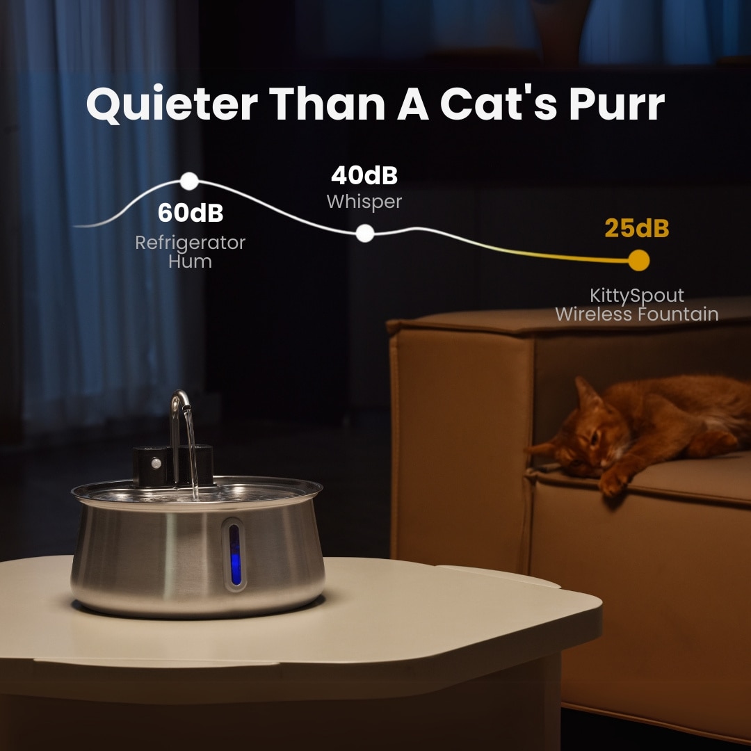 KITTYSPOUT The KittySpout Wireless 2.0 Stainless Steel Cat Fountain ...