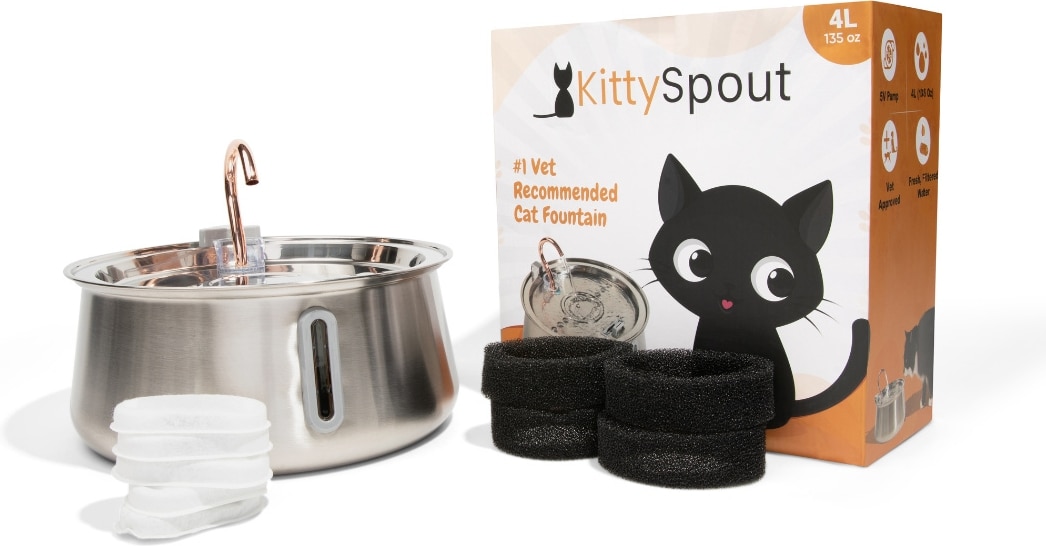KITTYSPOUT The KittySpout 2.0 Stainless Steel Cat Fountain - Chewy.com
