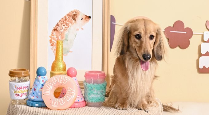 HUGSMART Unicorn Sisal 25-in Cat Scratching Post with Toy, Pink/White ...