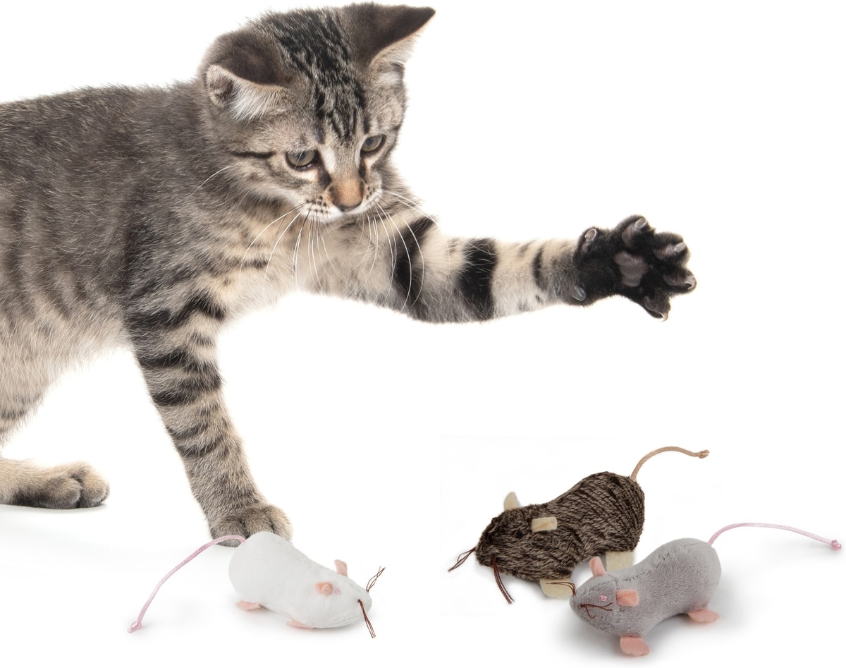 SMARTYKAT Crazy Creepers Refillable Catnip Plush Rat Cat Toys with ...