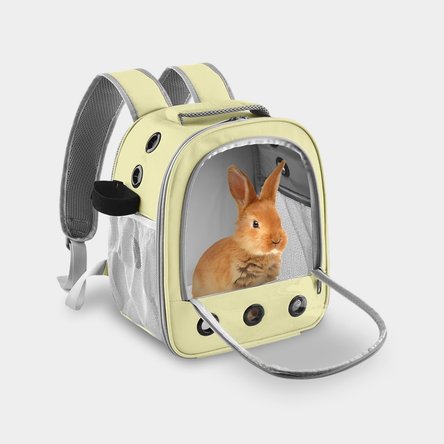 Rabbit Supplies & Accessories | Chewy
