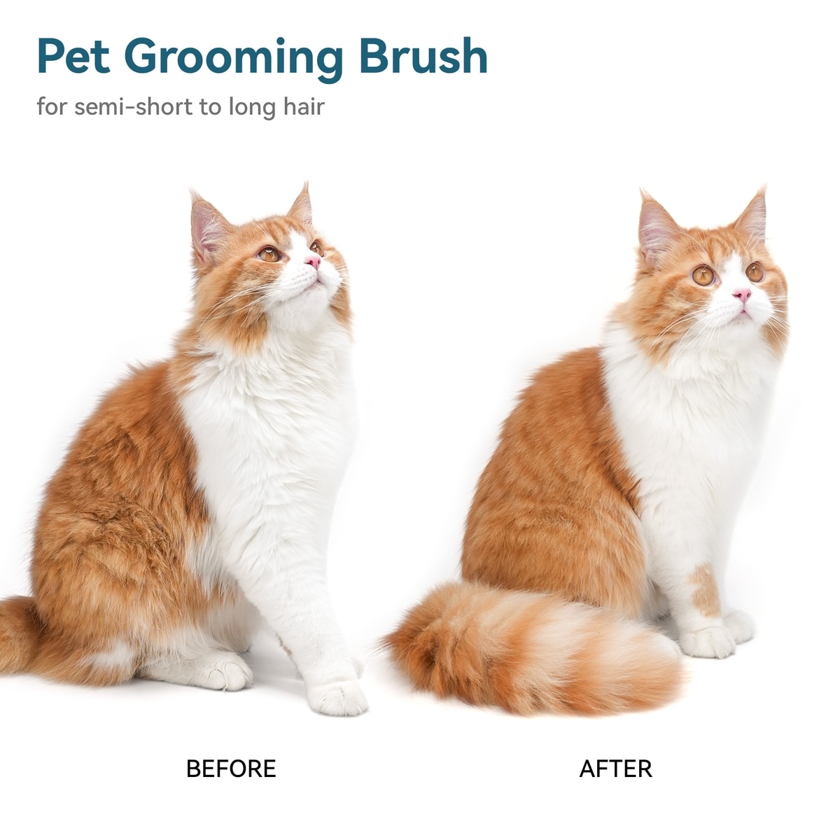 AUMUCA Self Cleaning Slicker Brush, Green - Chewy.com