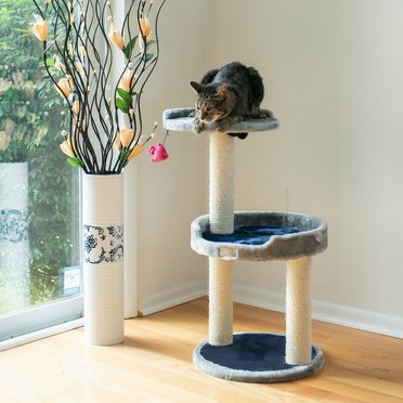 Small Cat Trees & Condos: 30" Tall & Below (Free Shipping) | Chewy