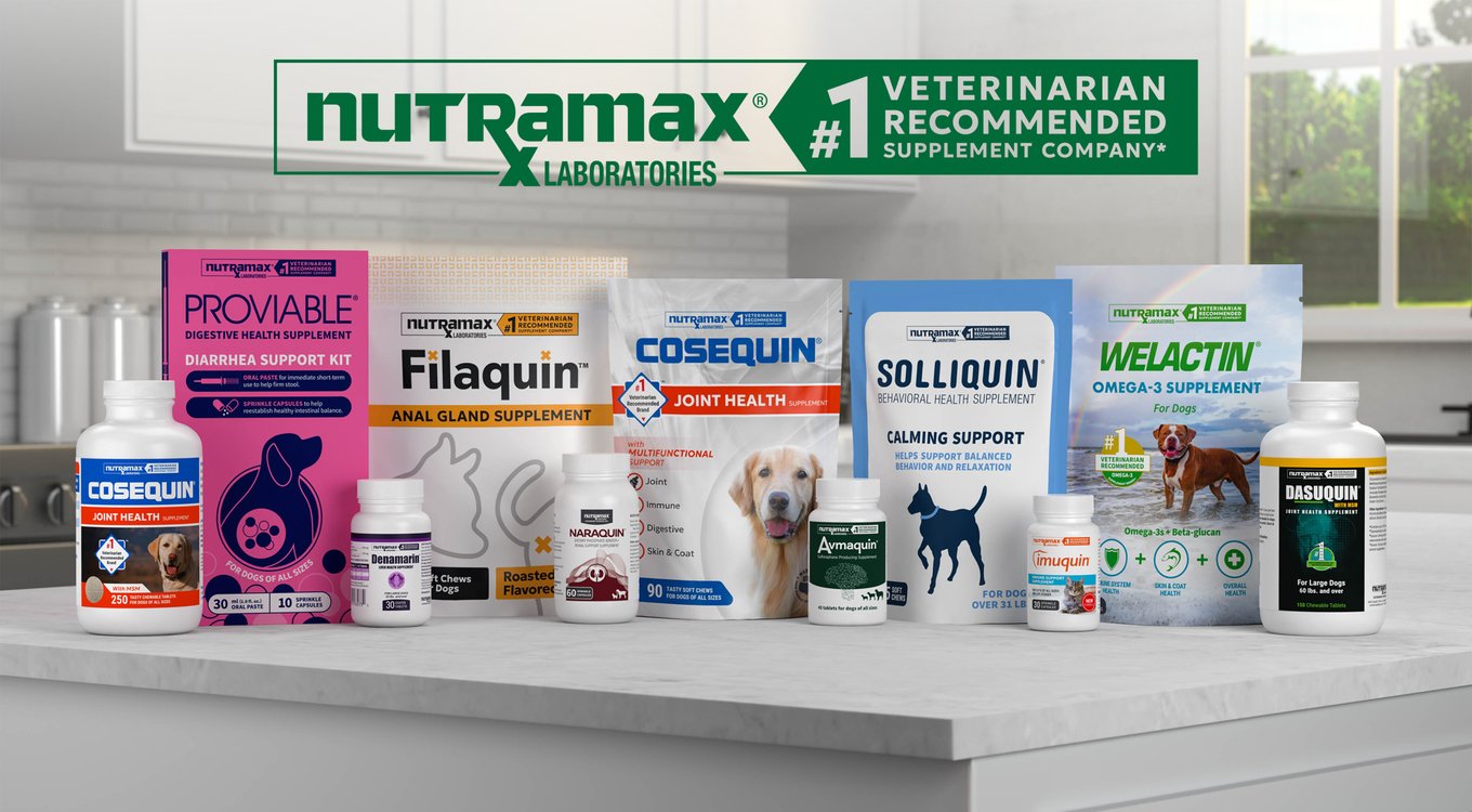 NUTRAMAX Cosequin Joint Health with Multifunctional Support Soft Chews ...