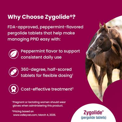 ZYGOLIDE (Pergolide) Tablets for Horses, 1 mg - Easy Refills | Chewy Rx