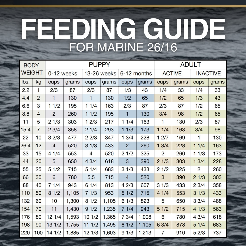 INUKSHUK Performance Marine 26/16 Dog Dry Food, 33-lb bag - Chewy.com