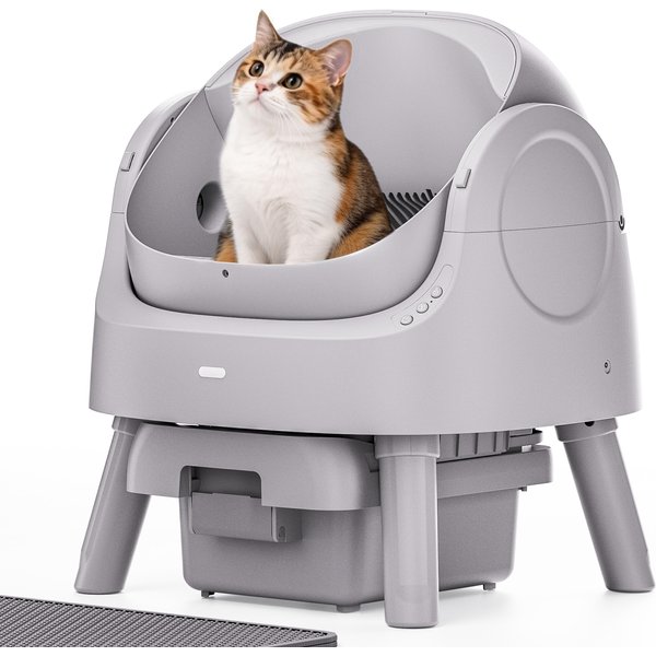 10 Best Automatic Litter Boxes 2026: According to Reviews | Chewy