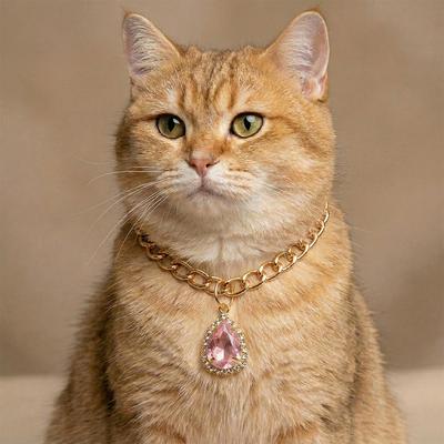 Out of Stock - NONOPETS Luxury Cuban Adjustable Link Gold Chain Dog ...