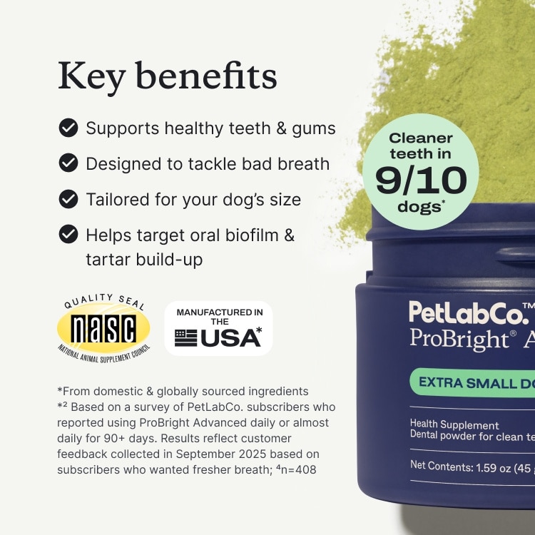 PETLABCO. ProBright Advanced Dental Powder for Dogs, X-Small Dogs: 1.59 ...