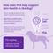 REDONYL Ultra Soft Chews Allergy Supplement for Dogs, 200-mg, 120 count ...