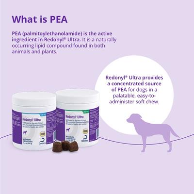 REDONYL Ultra Soft Chews Allergy Supplement for Dogs, 200-mg, 120 count ...