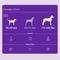 REDONYL Ultra Soft Chews Allergy Supplement for Dogs, 200-mg, 120 count ...