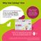 CATNEY ONE Kidney Powder Supplement for Cats, 30 count - Chewy.com