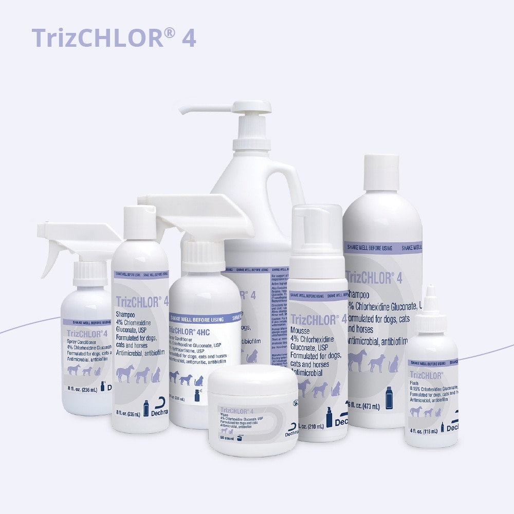 TRIZCHLOR 4 Shampoo for Dogs, Cats & Horses, 8-fl oz bottle - Chewy.com