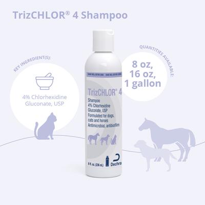 TRIZCHLOR 4 Shampoo for Dogs, Cats & Horses, 8-fl oz bottle - Chewy.com