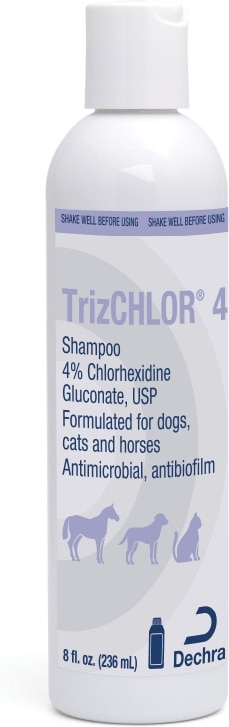 TRIZCHLOR 4 Shampoo for Dogs, Cats & Horses, 8-fl oz bottle - Chewy.com