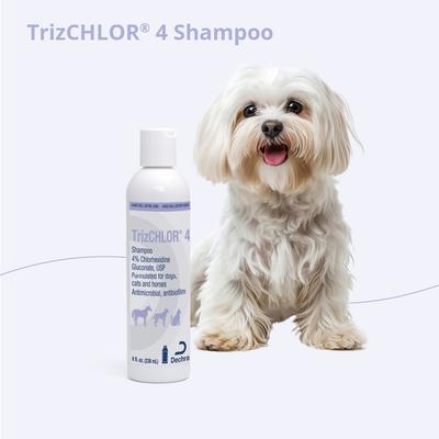 TRIZCHLOR 4 Shampoo for Dogs, Cats & Horses, 8-fl oz bottle - Chewy.com