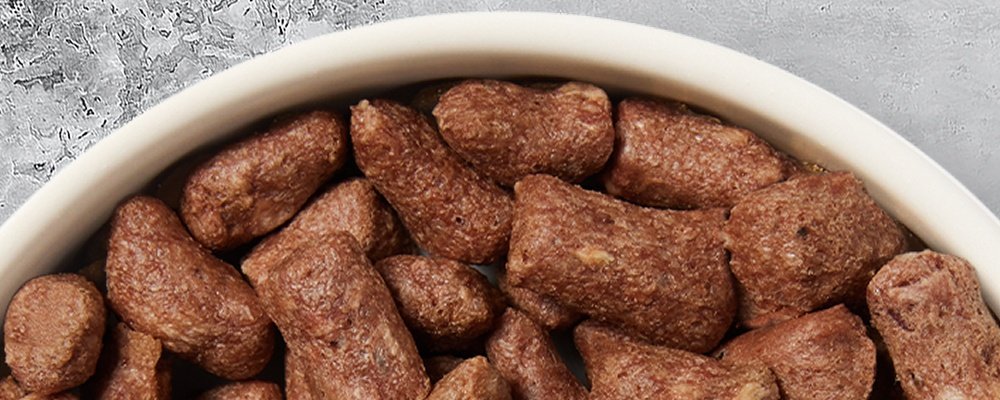 Cat Food - Page 3 (Free Shipping) | Chewy