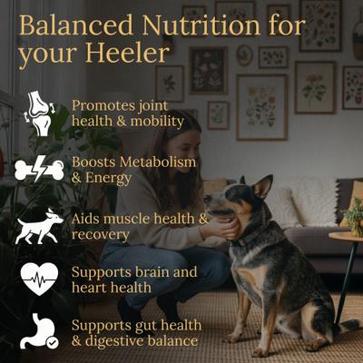 PRESTIGE BREED Australian Cattle Dog Multivitamins Digestive Health ...