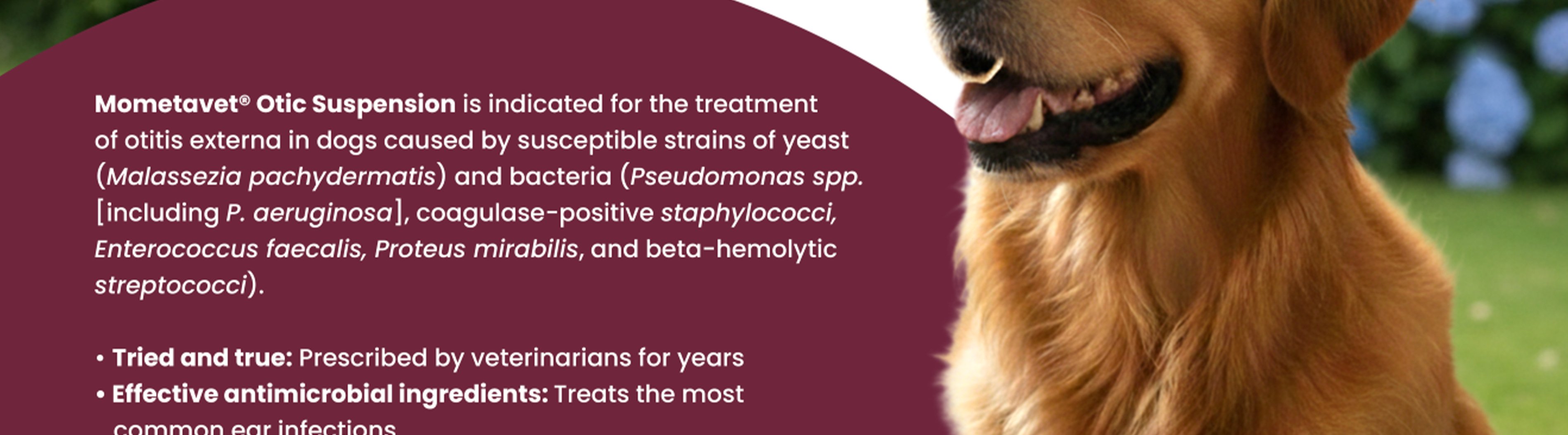 MOMETAVET Otic Suspension for Dogs, 15 g - Easy Refills | Chewy Rx