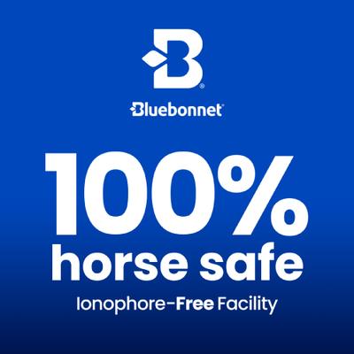 BLUEBONNET FEEDS Intensify Omega Force High Protein, Low Starch Horse ...