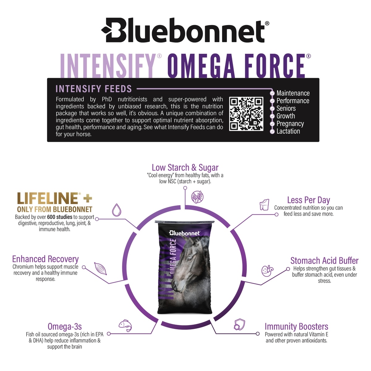 BLUEBONNET FEEDS Intensify Omega Force High Protein, Low Starch Horse ...