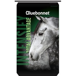 BLUEBONNET FEEDS Intensify Omega Force High Protein, Low Starch Horse ...