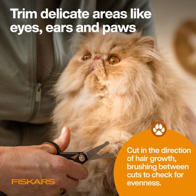FISKARS Pet Detailing Scissors, Orange/Black, 5.5-in - Chewy.com