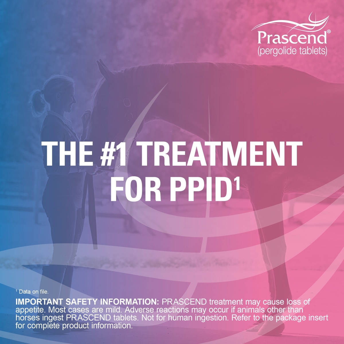PRASCEND (Pergolide) Tablets for Horses, 1-mg - Easy Refills | Chewy Rx