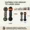 PETOPIA Spherical Dumbbell Interactive Food Dispersing Dog Chew Toy ...